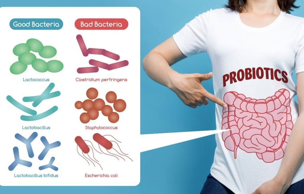 Τα οφέλη των προβιοτικών στην υγεία - Justlina blog